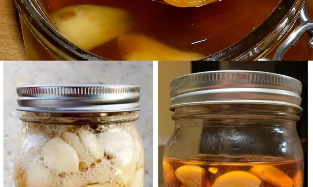 365 Info Channel Archives