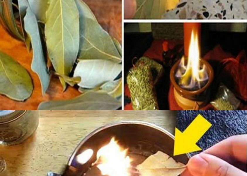 Here’s why you should burn bay leaves at your home